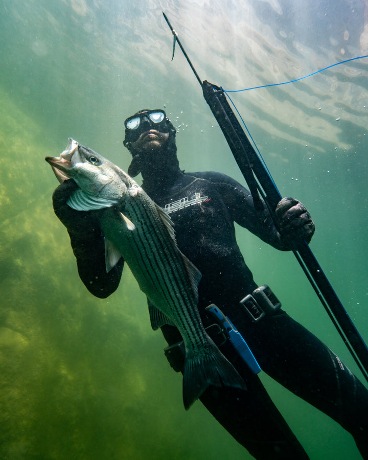 NFSA Spearfishing Guide – National Freshwater Spearfishing Association